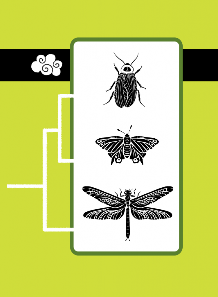 Prehistoric Insects: Crawlers, Flitters, and Hunters