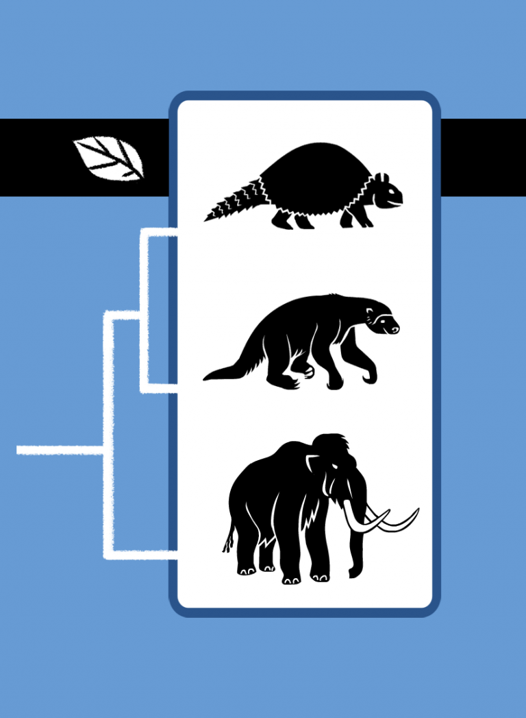 Home – of Grandmother Fish & Clades