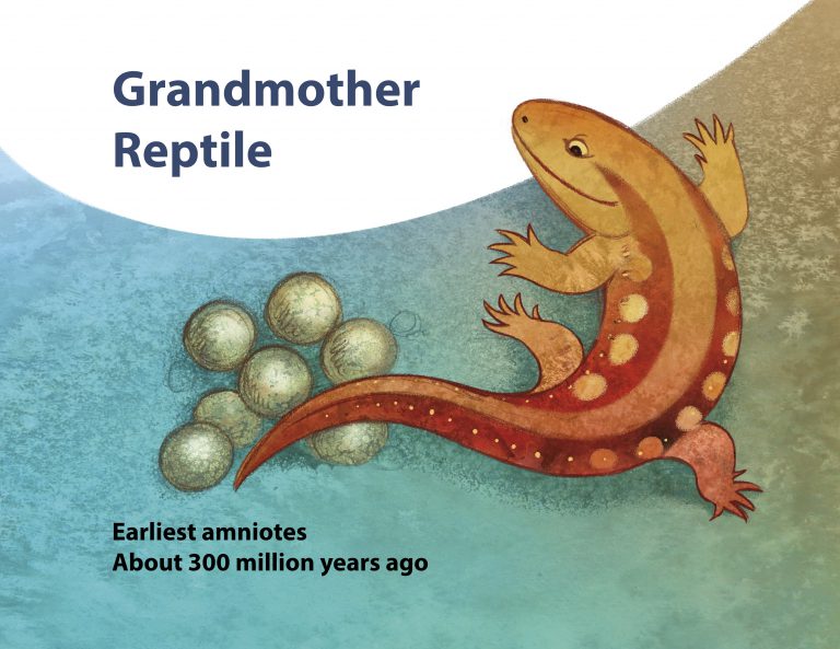 Home – of Grandmother Fish & Clades