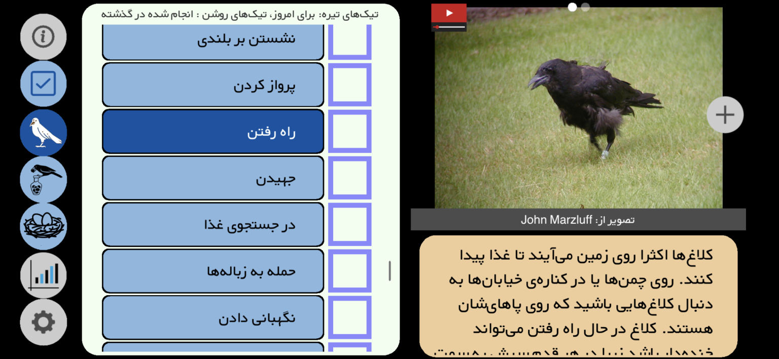 Home – of Grandmother Fish & Clades